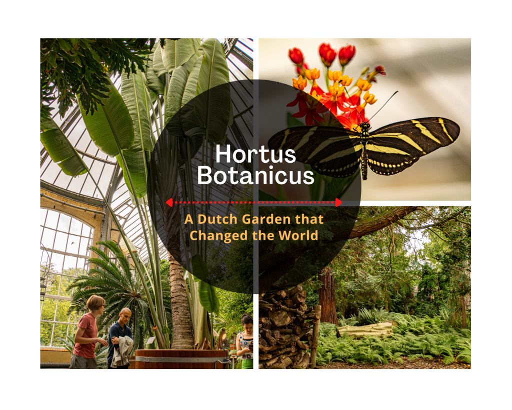 Hortus Botanicus: A Dutch Garden That Changed the World - UnClogged in ...